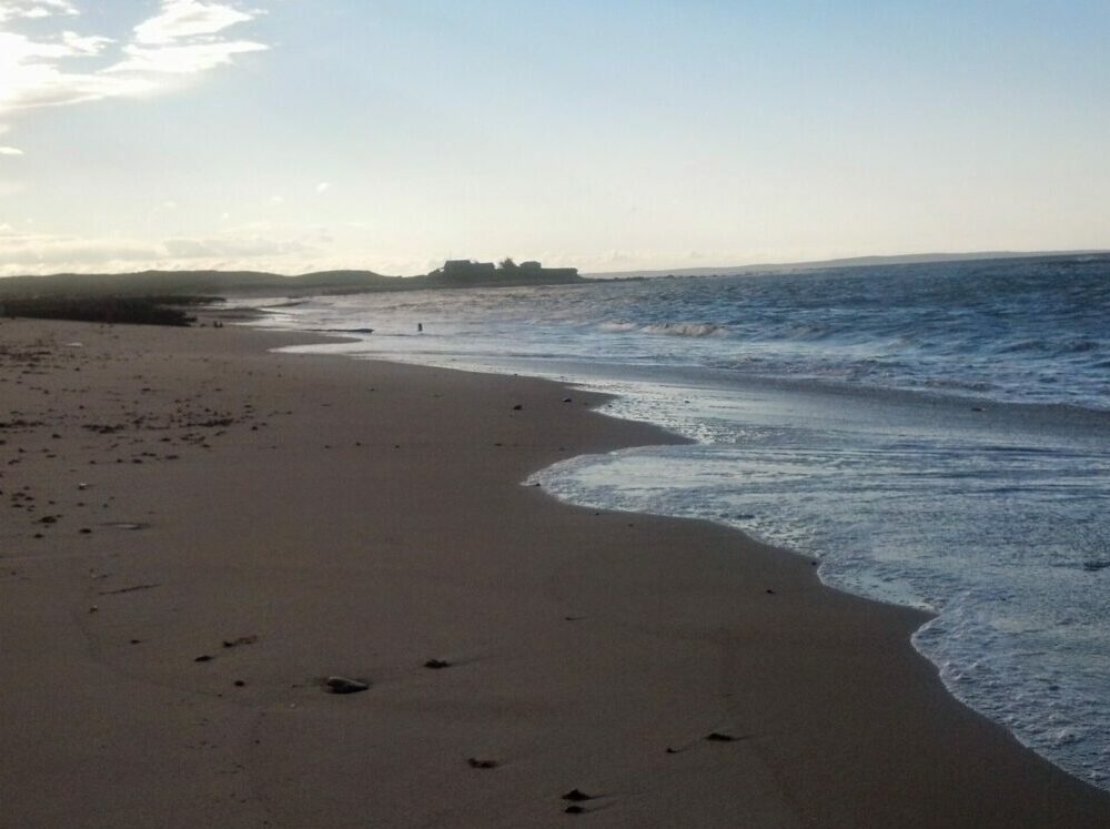 A Guide to Cuttyhunk Island’s Beaches - Cuttyhunk Island