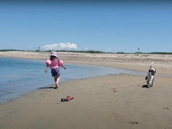 A Guide to Cuttyhunk Island’s Beaches - Cuttyhunk Island